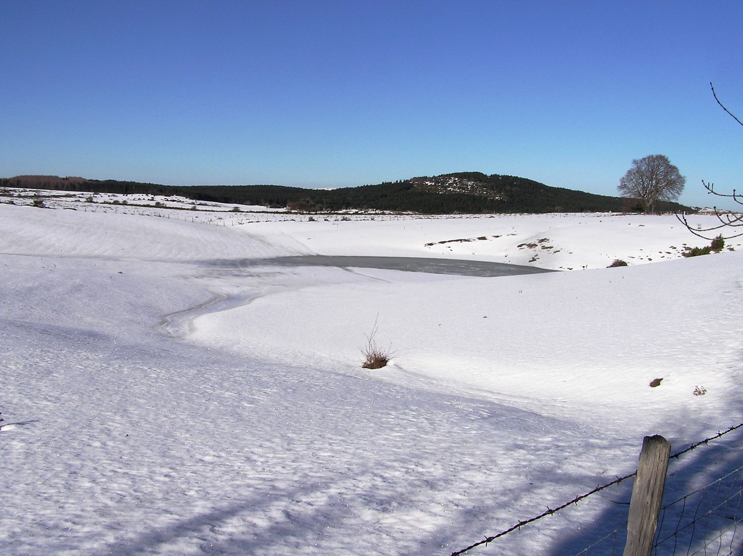 Balzac, terrain de parachutage clandestin en 1944 - Can de l'Hospitalet