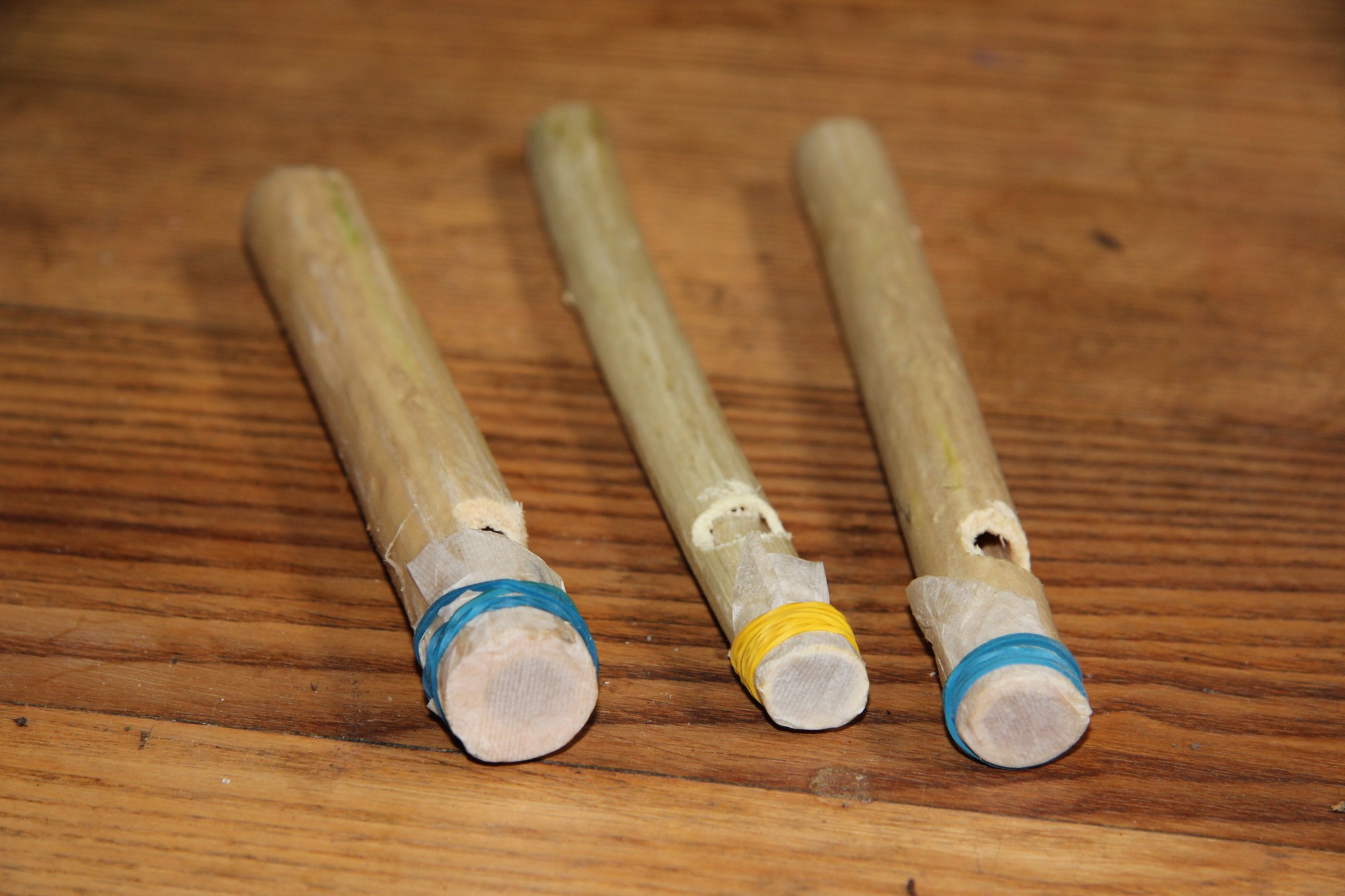 Bruiteurs – Musique verte